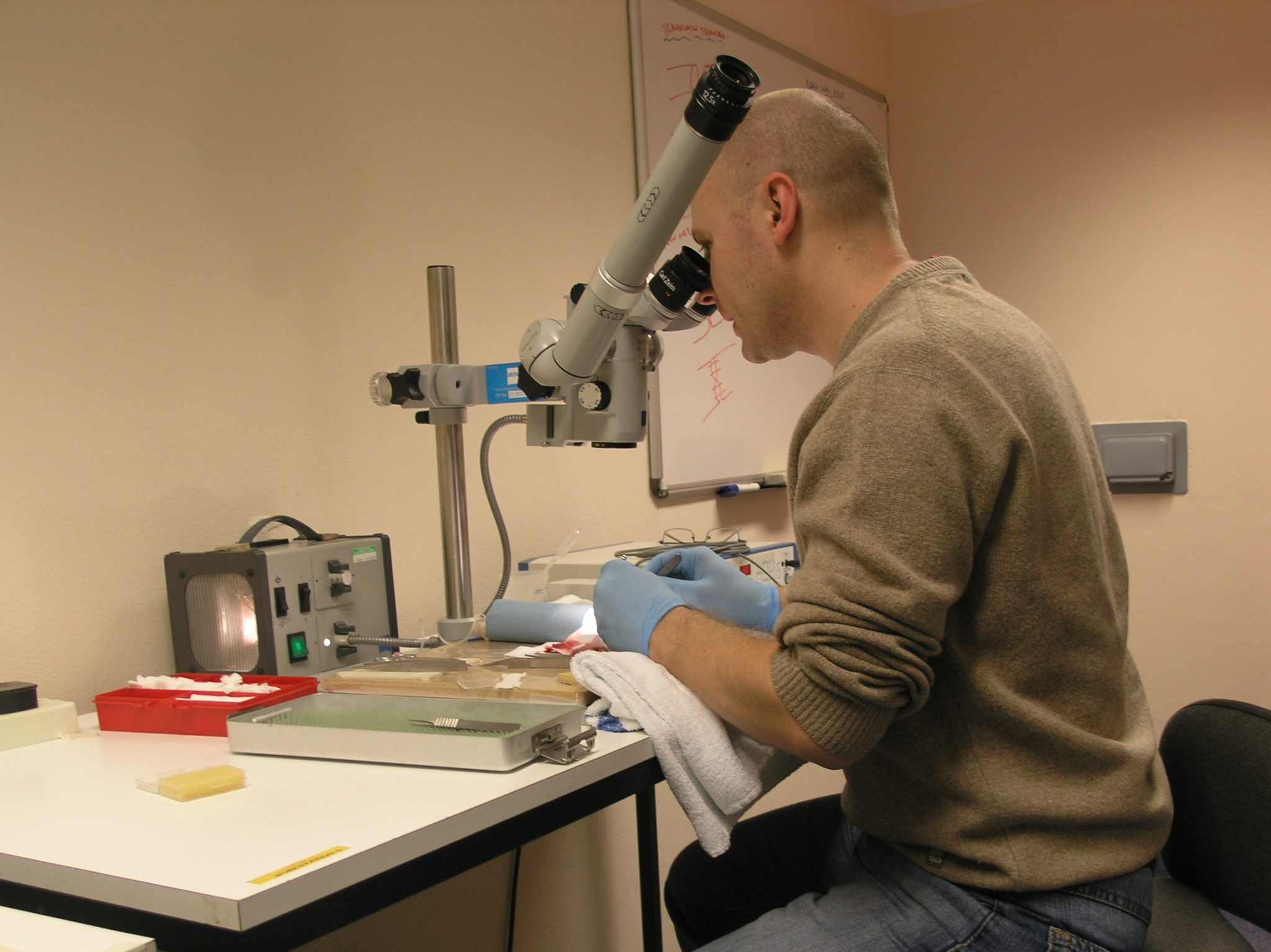 Početna stranica - doc. dr. sc. Krešimir Gršić